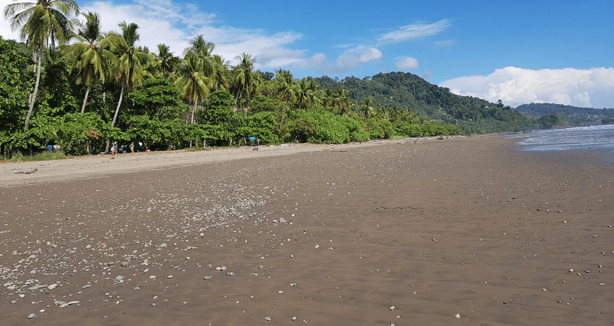 Roos leert Spaans in het prachtige Costa Rica