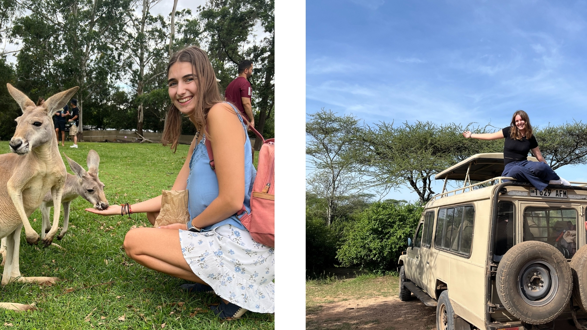 Reisfavorieten van 2025 & waar moet je in 2026 heen?